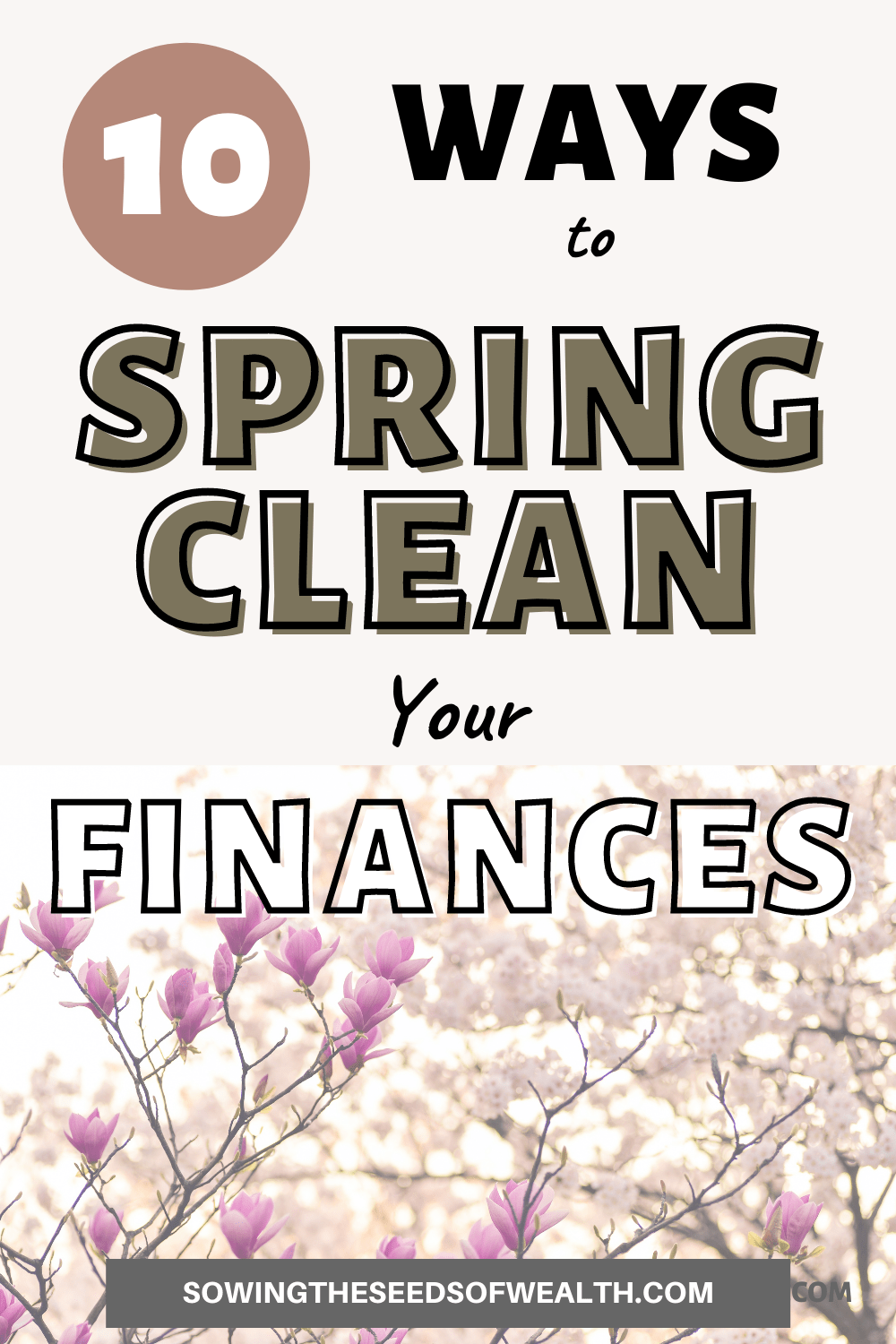 10 Ways to Spring Clean Your Finances - SOWING the SEEDS of WEALTH